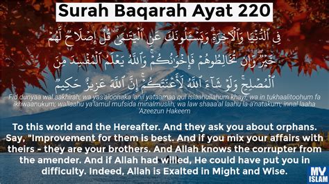 Surah Al Baqarah Ayat 219 2219 Quran With Tafsir My Islam