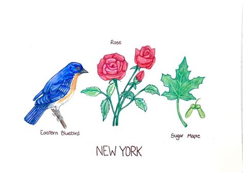 New York Flower And Bird