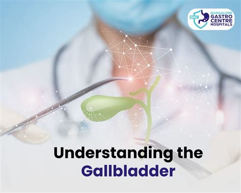 How Gallbladder Removal Affects Digestion Insights From