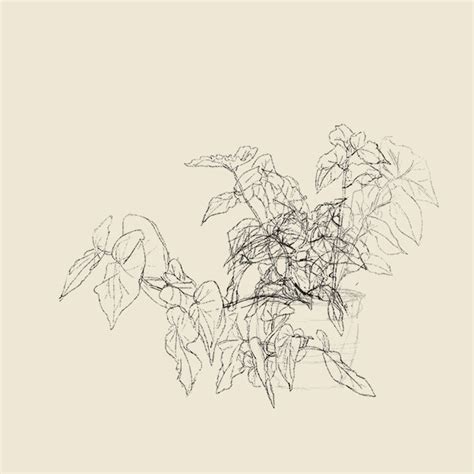 Ruby Process  2016 By Zespri On Deviantart