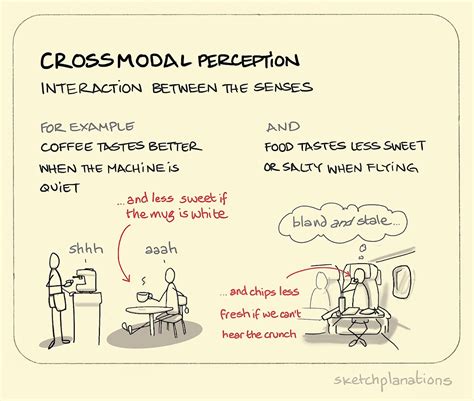 Crossmodal Perception Sketchplanations