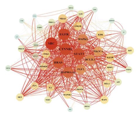 Ppi Network Of 44 Genes The Bigger The Graph The Bigger The Degree