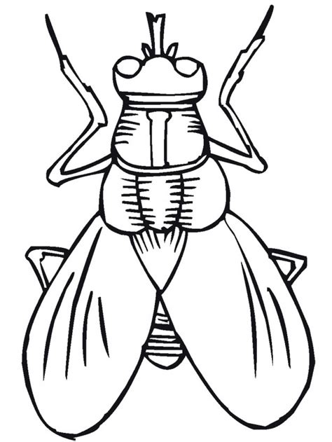Free Lightening Bug Cliparts Download Free Lightening Bug Cliparts Png Images Free Cliparts On