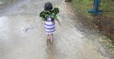 Puddle Number 74 Album On Imgur Puddle Number 74 Album On Imgur