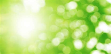 پس زمینه برگ سبز برگ تار شد دایره بوکه از برگ ها با نوری که از آن می تابد مفهوم دنیای سبز پس