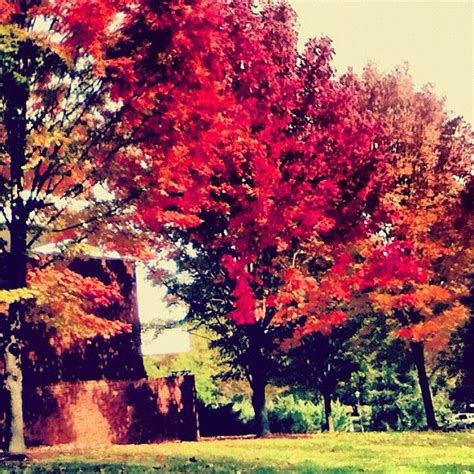 Fall In The Wonderland Of Uva Photo Art Scenery Abstract Artwork