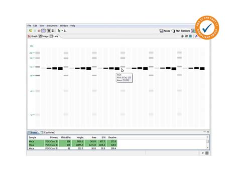 Proteinsimples Compass Software For Simple Western Bio Techne