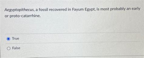 Aegyptopithecus A Fossil Recovered In Fayum Egypt