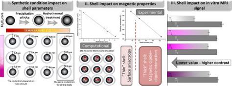 Fe3o4 Hap 核壳纳米粒子作为 Mri 造影剂：壳层对磁性能影响的合成、表征及理论和实验研究 Applied Surface Science X Mol