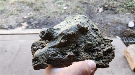 Help Identifying Possible Fossil R Fossilid