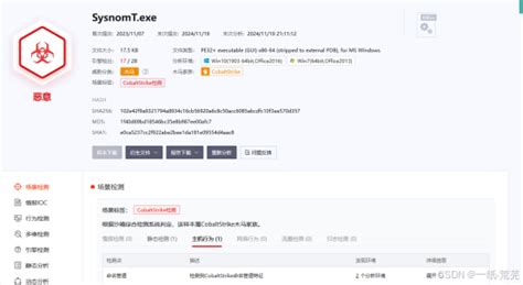 【where 1s The Hacker P1应急响应靶场】应急响应靶场where 1s The Hacker Csdn博客