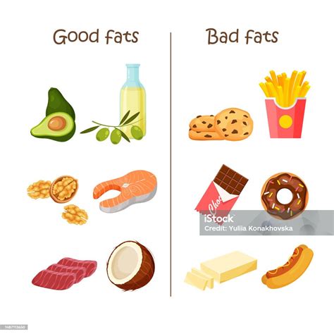 Good And Bad Fats Stock Illustration Download Image Now