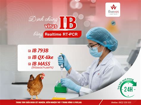 Fivevet Công Ty Cp Thuốc Thú Y Trung Ương 5 • ĐỊnh ChỦng BỆnh ViÊm PhẾ QuẢn TruyỀn NhiỄm Ibv