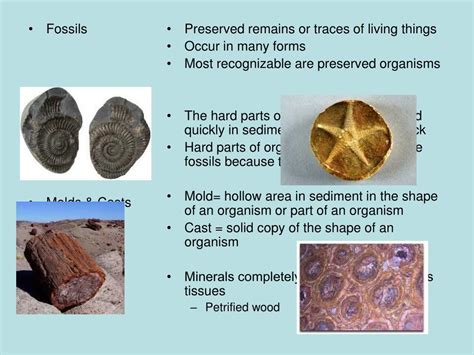 Ppt Relative Dating Superposition Clues In Igneous Rock Index Fossils