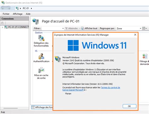 Comment Installer Iis Sur Windows 11 It Connect