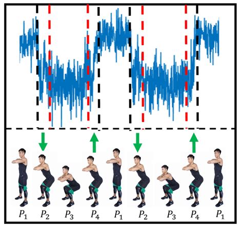 Down Sampled Signal Sequence While Squatting Download Scientific Diagram