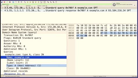 New Talk Learning Dns In Years