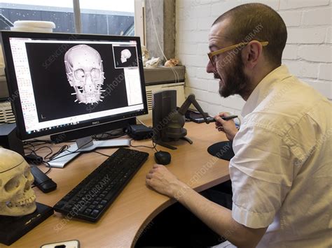 Digital Forensic Facial Reconstruction Stock Image C028 7983 Science Photo Library