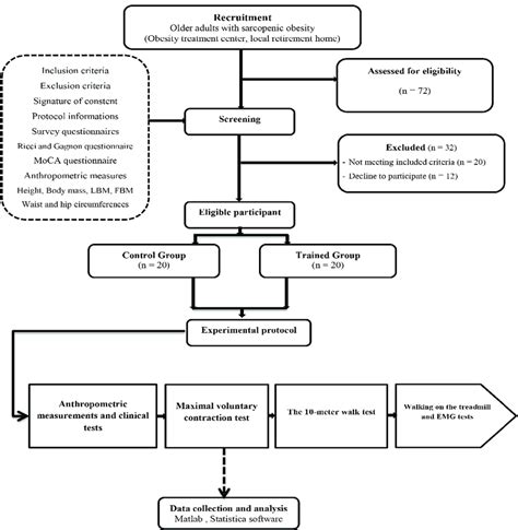 Flow Diagram Illustrating The Experimental Procedure Design Flow