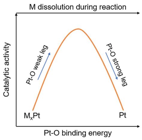 What Happens To A Catalyst In A Reaction Apex Kierra Has Mercer