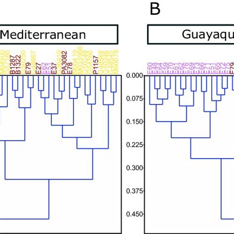 Wards Clustering Analysis Based On The First 55 Pcs Of Principal