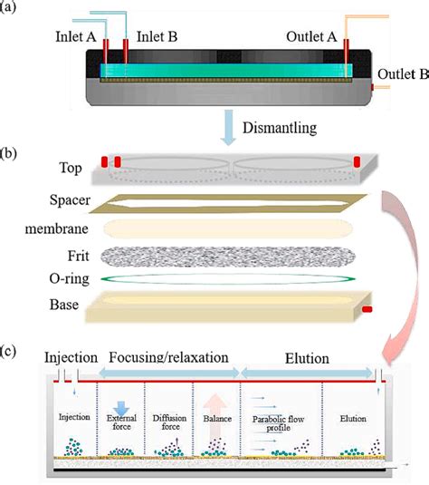 Figure 1 From Flow Field Flow Fractionation Coupled With Multidetector A Robust Approach For