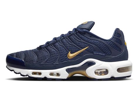 Coupe Du Monde Une Nike TN Aux Couleurs De La France