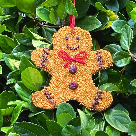 Gingerbread Man Christmas Cookie Available To Ship 9 1 Mr Bird