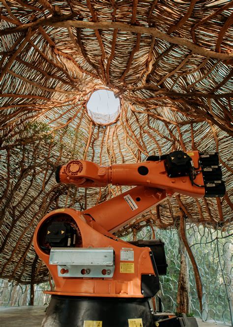 Roth Architecture Creates Office In Tulum With Insect Wing Forms