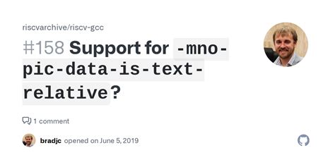 Support For ` Mno Pic Data Is Text Relative` · Issue 158