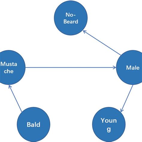 Causal Graph Of Five Classic Features Learned By Our Method Download Scientific Diagram