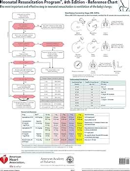 Neonatal Resuscitation Program Wall Chart 8th Edition AED 50 OFF