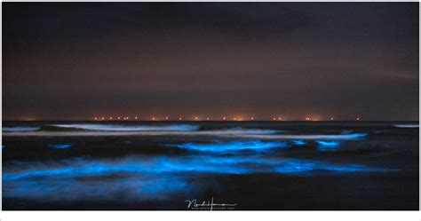 Be Careful Of The Brightness Of The LCD Of Your Camera Fstoppers