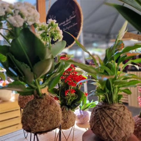 Balzak 40 Faz última Edição Do Ano Na Cobal Leblon Povo Na Rua