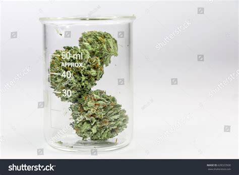 The Science Behind Creativity And Cannabis Artofit