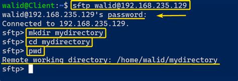 The Sftp Command In Linux Practical Examples
