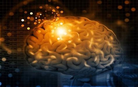 shallow processing vs deep level processing
