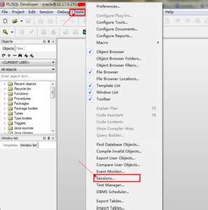 Oracle锁表使用PL SQL Developer查看和杀掉session 人生设计师