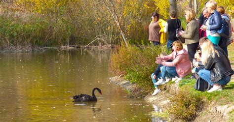 У Полтаві замовили поточний ремонт дендропарку за 1 3 млн грн — планують зробити доріжки і лавки