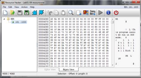 pma ch 1 labs basic static analysis