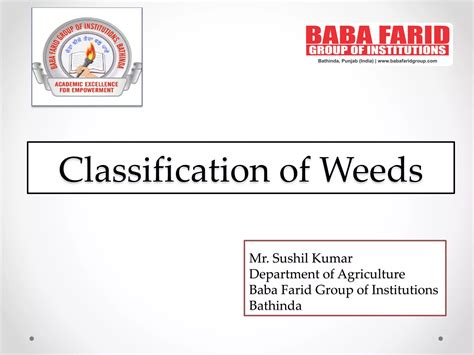 Classification Of Weeds Pdf