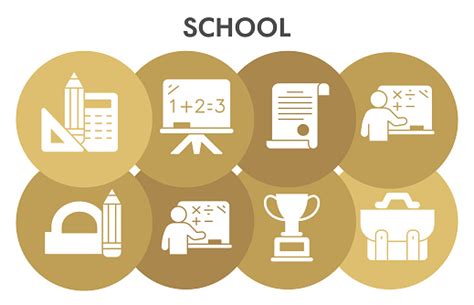 아이콘이 있는 학교 인포그래픽 디자인 템플릿입니다 흰색 배경에 교육 인포그래픽 시각화 프레젠테이션을 위한 교육 템플릿을 받습니다 인포그래픽을 위한 크리에이티브 벡터