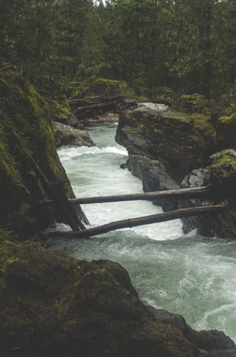 Free Nature Tumblr Com Tumbex