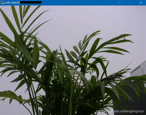 Ffmpeg中编码类型为rawvideo无须解码直接显示测试代码 Csdn博客