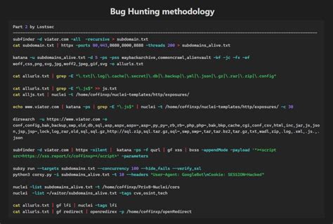Bughunting Automation Cybersecurity Vulnerabilityassessment