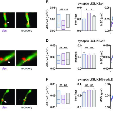 Molecular Diffusion And Msd Analysis A Different Types Of Diffusion
