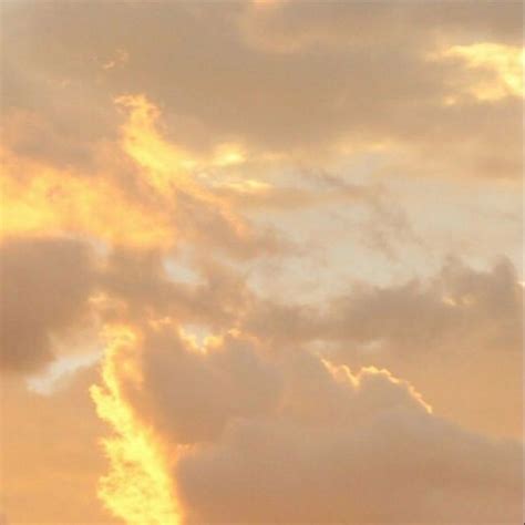 Solace Wood On Tumblr