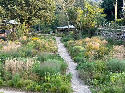 일곱계절의 정원 가든센터 가을이 오는소리가 들립니다 억새꽃이피고 파니쿰 팜파스 수크렁