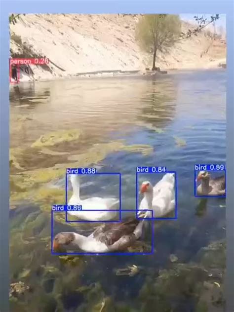Mohammad Poorkhalili On Linkedin Yolo V8 Object Detection On Sbc
