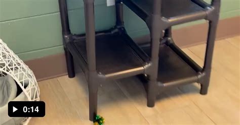 Shes A Professional Yapper 9gag